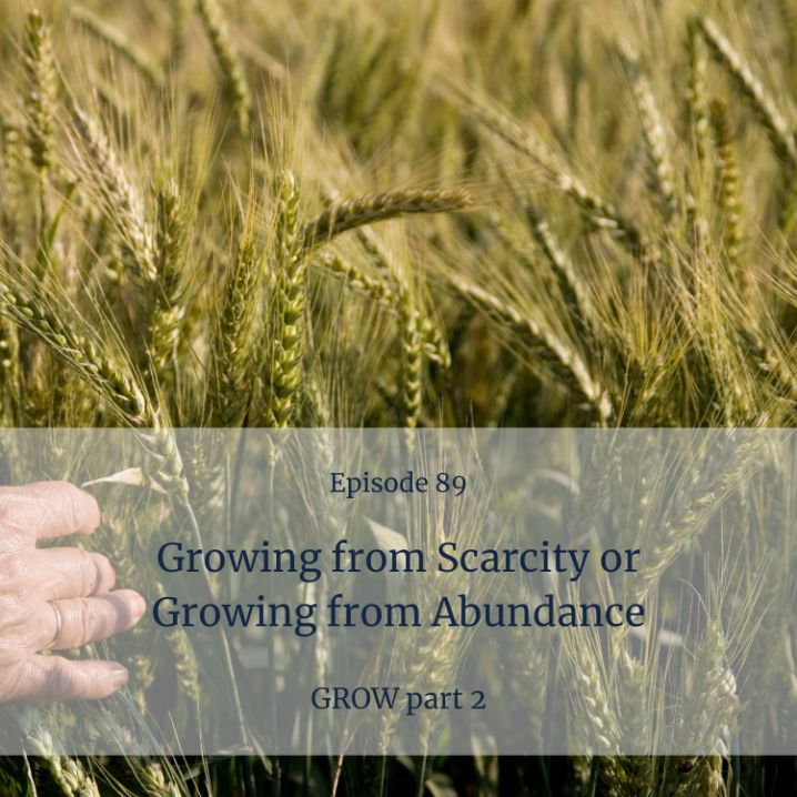 Growing from Scarcity or Growing from Abundance, GROW part 2 - Tina ...