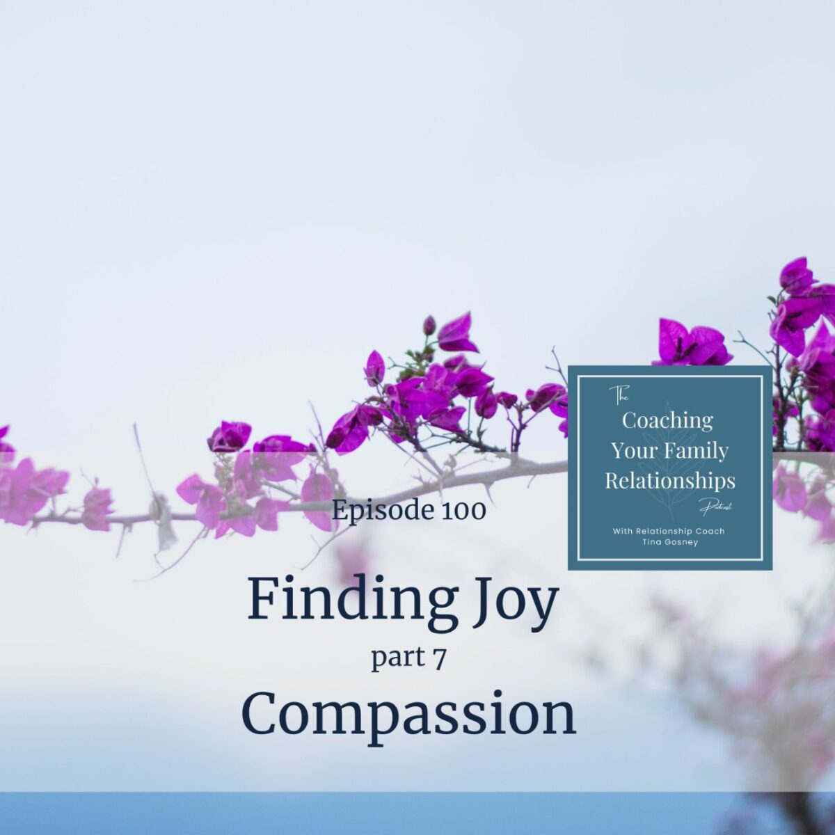 Finding Joy part 7 - Compassion - Tina Gosney Coaching