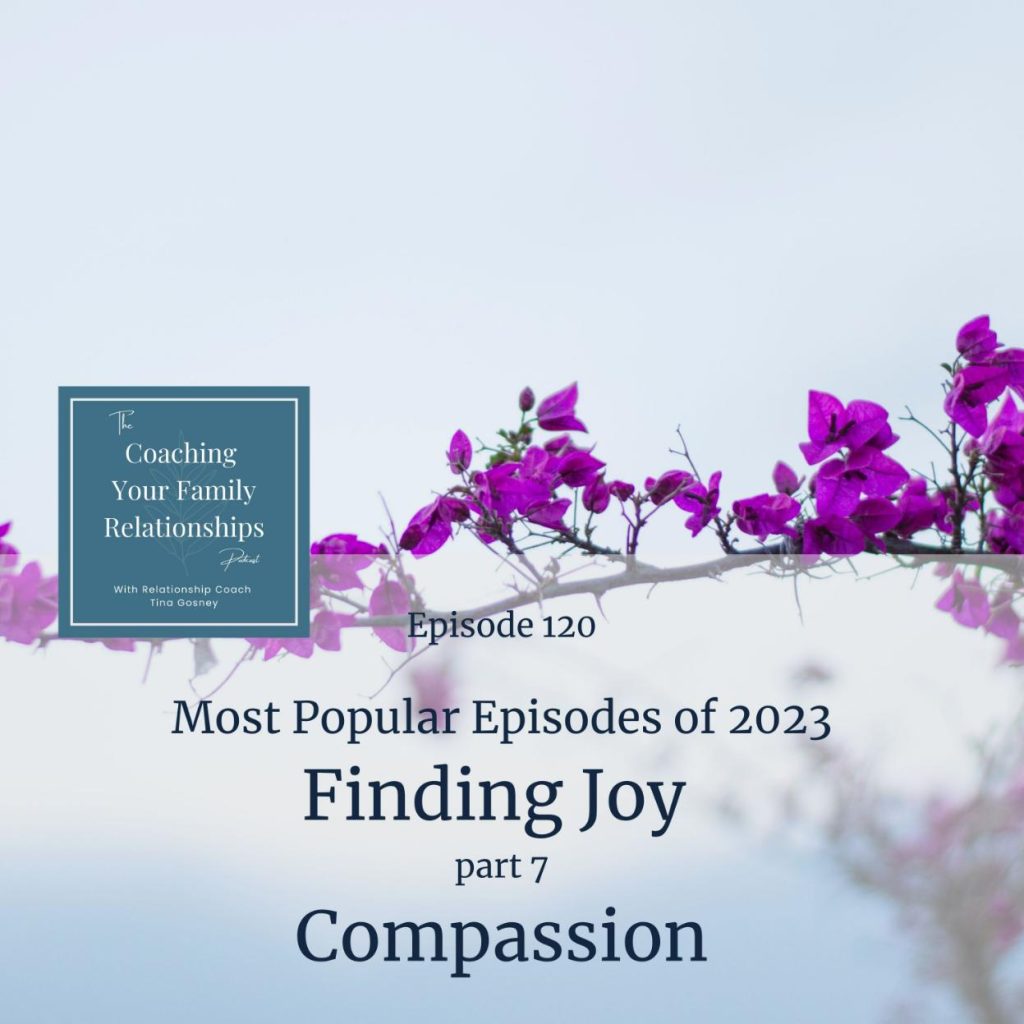 Finding Joy Through Compassion, Most Popular Episodes of 2023 - Tina ...